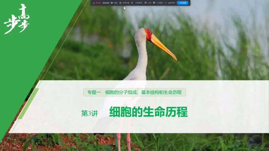 高中生物细胞的生命历程