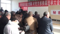 11.29大邹家村党支部书记选举