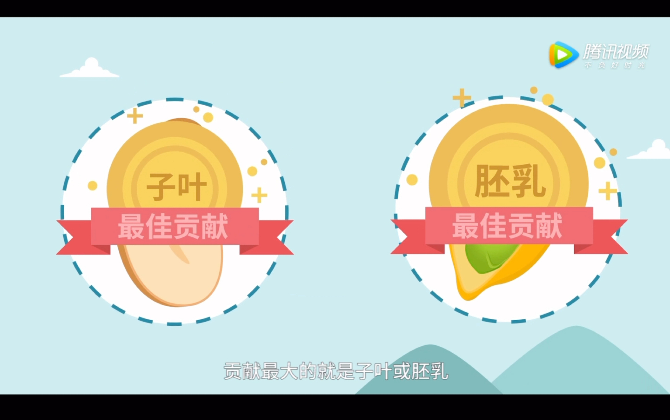 科学知识拓展——认识植物的一生 。