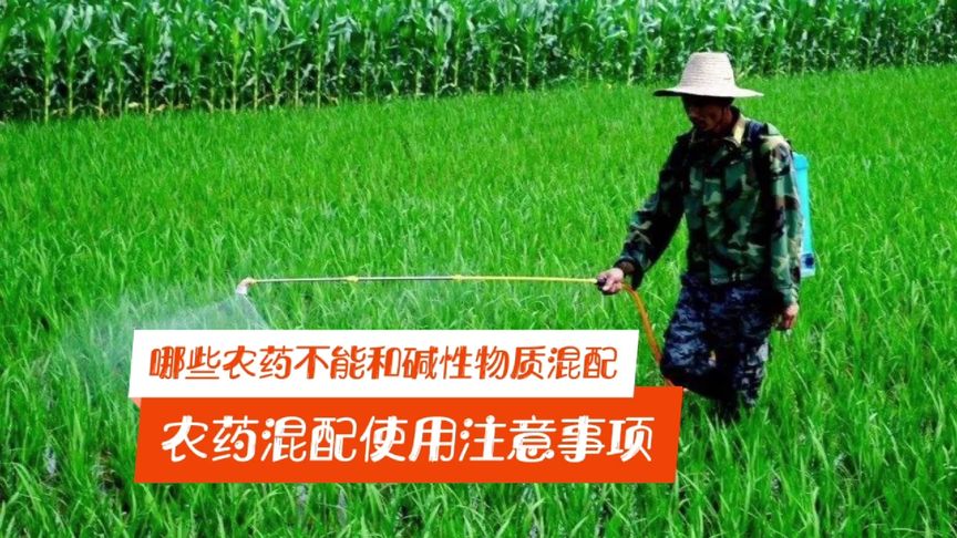 农药混配使用注意事项系列讲座之一:哪些农药不能和碱性物质混配