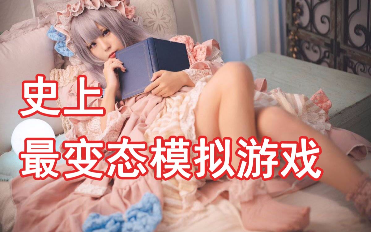 成年人玩了都把持不住!史上最变态的模拟游戏盘点