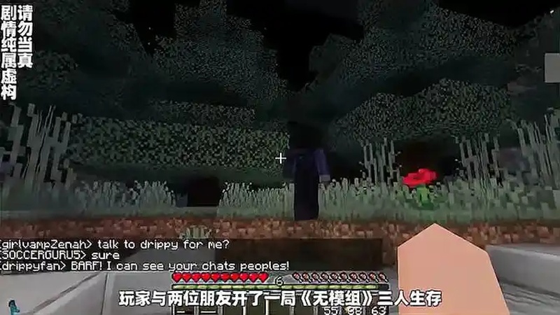 我的世界:玩家发现了一只会寻找钻石的狗狗!
