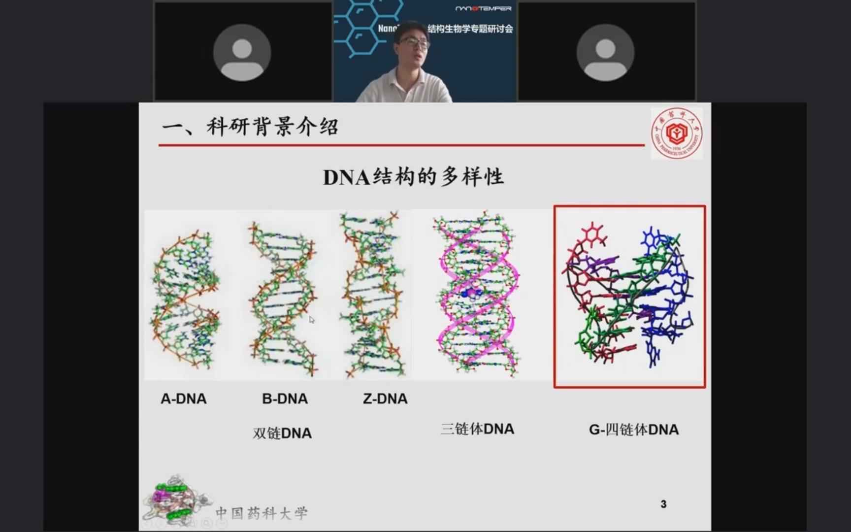 【中国药科大学 王凯波教授】基于G-四链体DNA新靶点的结构解析和...