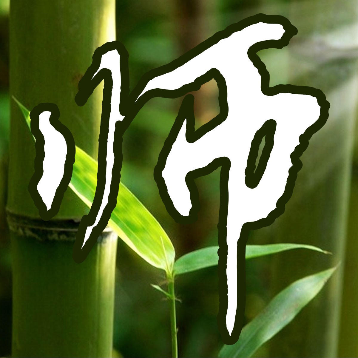 英格林老师 