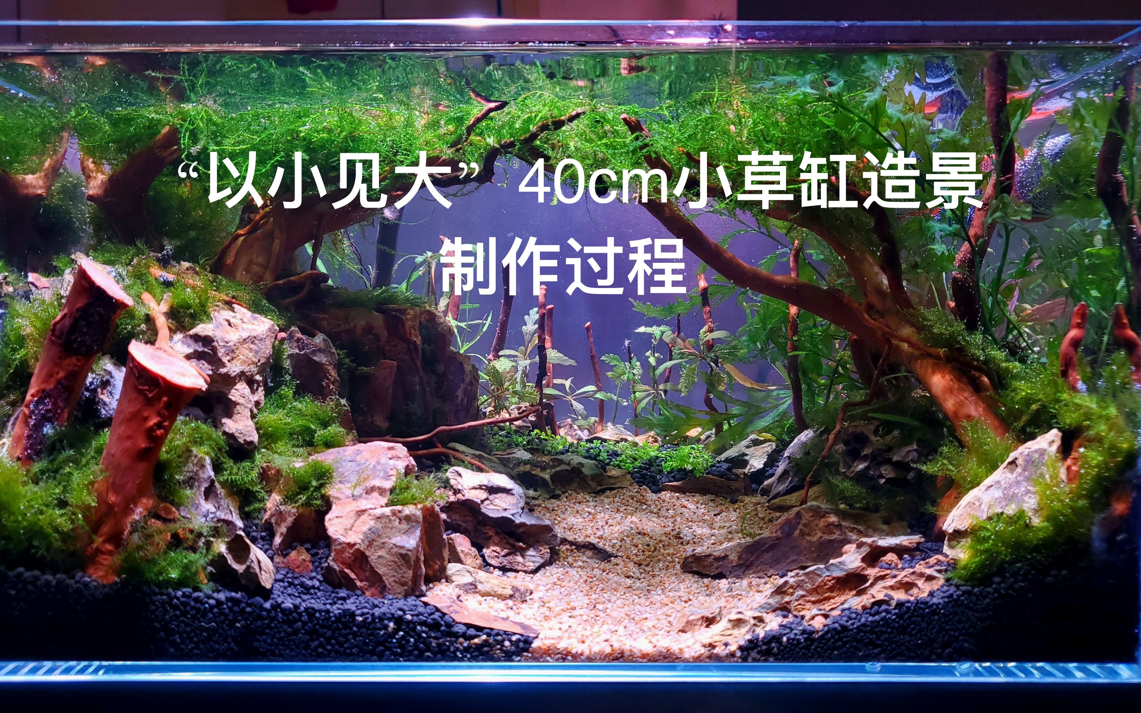 以小见大的40cm小草缸造景-制作过程