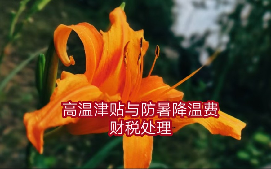 企业发放“高温津贴”与“防暑降温费”,要不要代扣代缴个税?