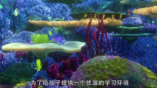 小丑鱼为了寻找孩子,竟然游了半个地球,动画电影《海底总动员》