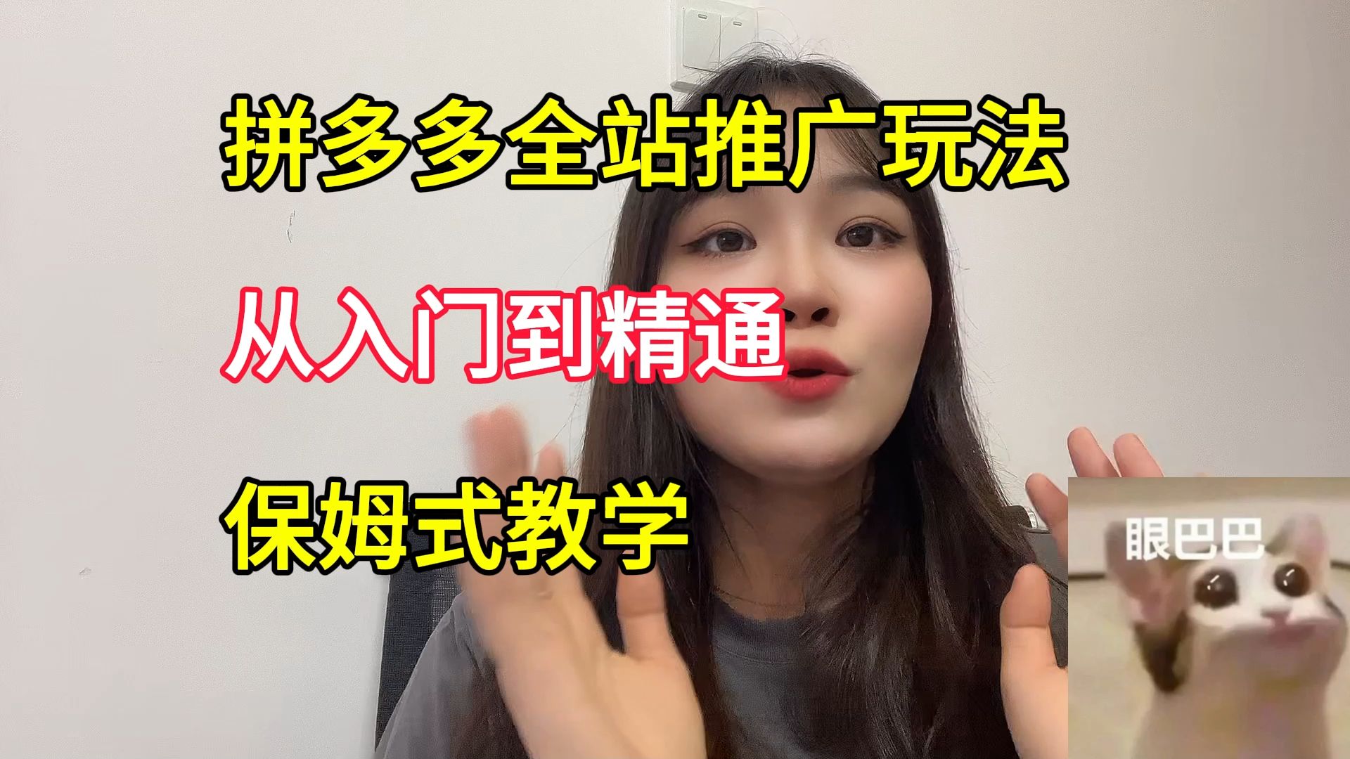 拼多多全站推广玩法,从入门到精通,保姆式教学