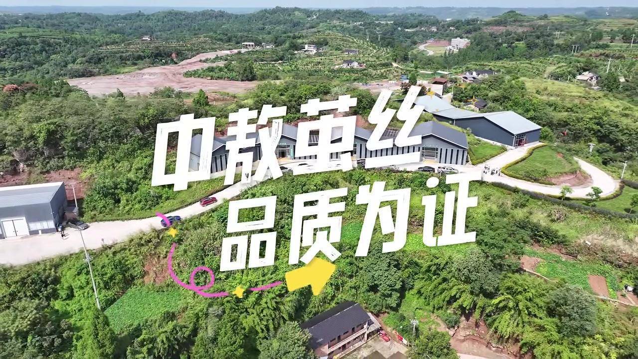 中敖茧丝,品质为证中敖出产的蚕茧,茧层厚实,色泽洁白如霜。所产出的...