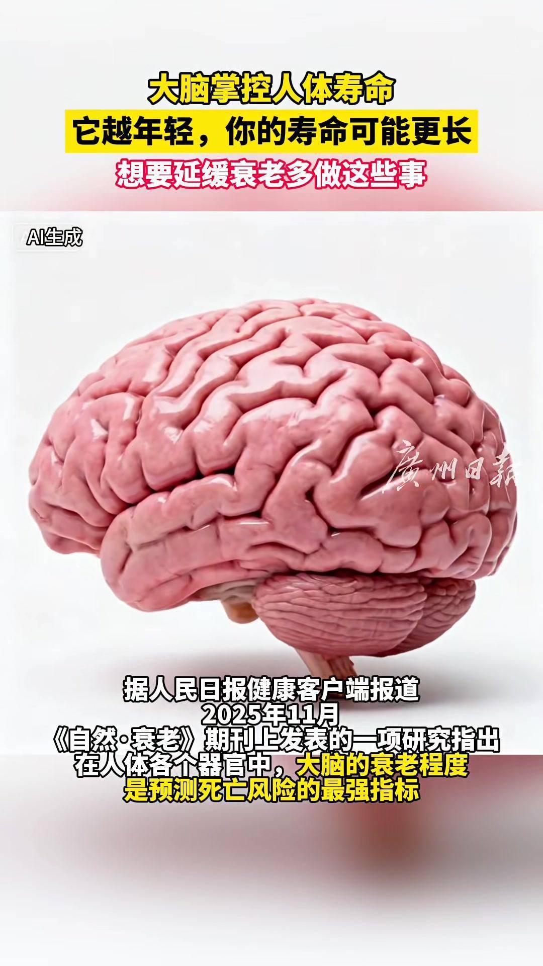 大脑掌控人体寿命,它越年轻,你的寿命可能更长,想要延缓衰老多做这些...