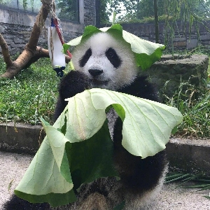 到B站是来学习滴 