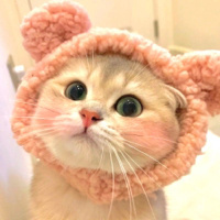 阿黎纪录