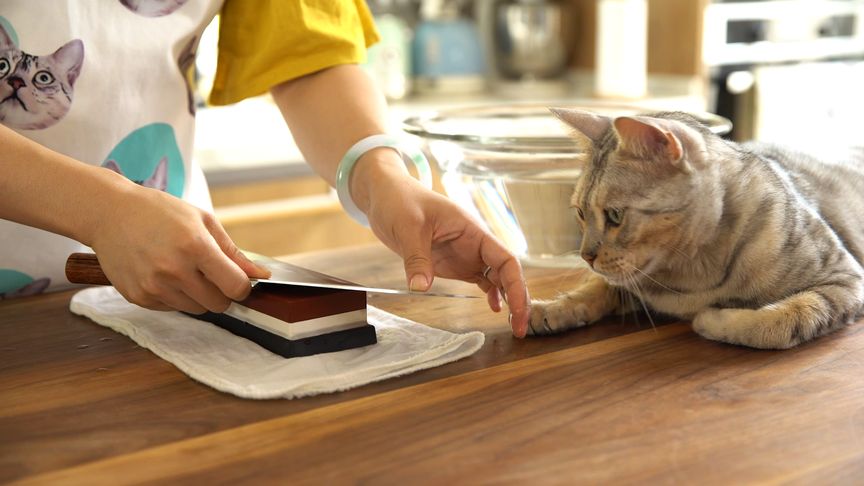 别把刀磨坏了,这才是磨刀的正确方法|曼食慢语