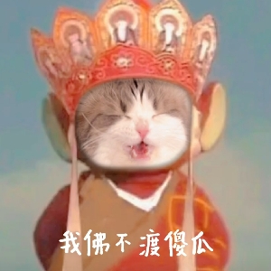 阿白很精彩 