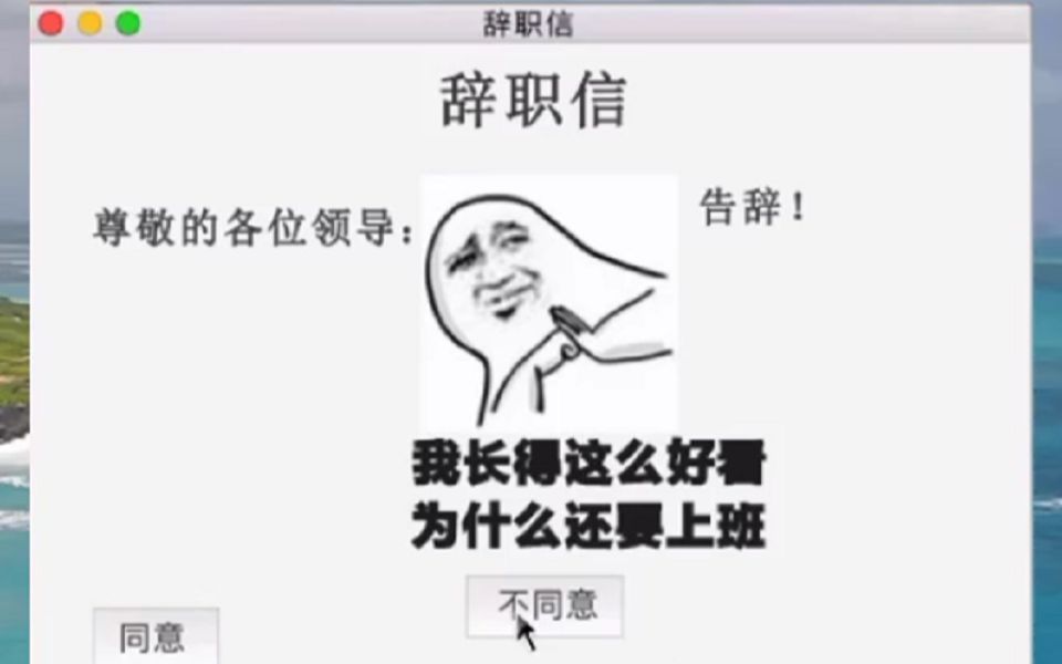 某公司程序员晒出自己的辞职信,网友表示:我要是你老板,迟早要打shi你!