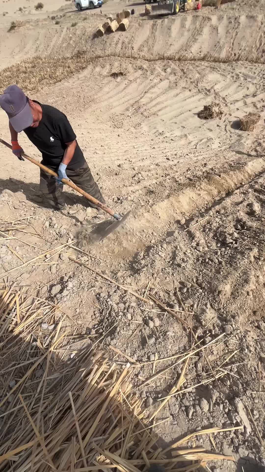 沙漠生活本就不易,万亩绿洲背后是我们千千万万治沙人的辛苦,现在...