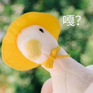 dede瑞琦 