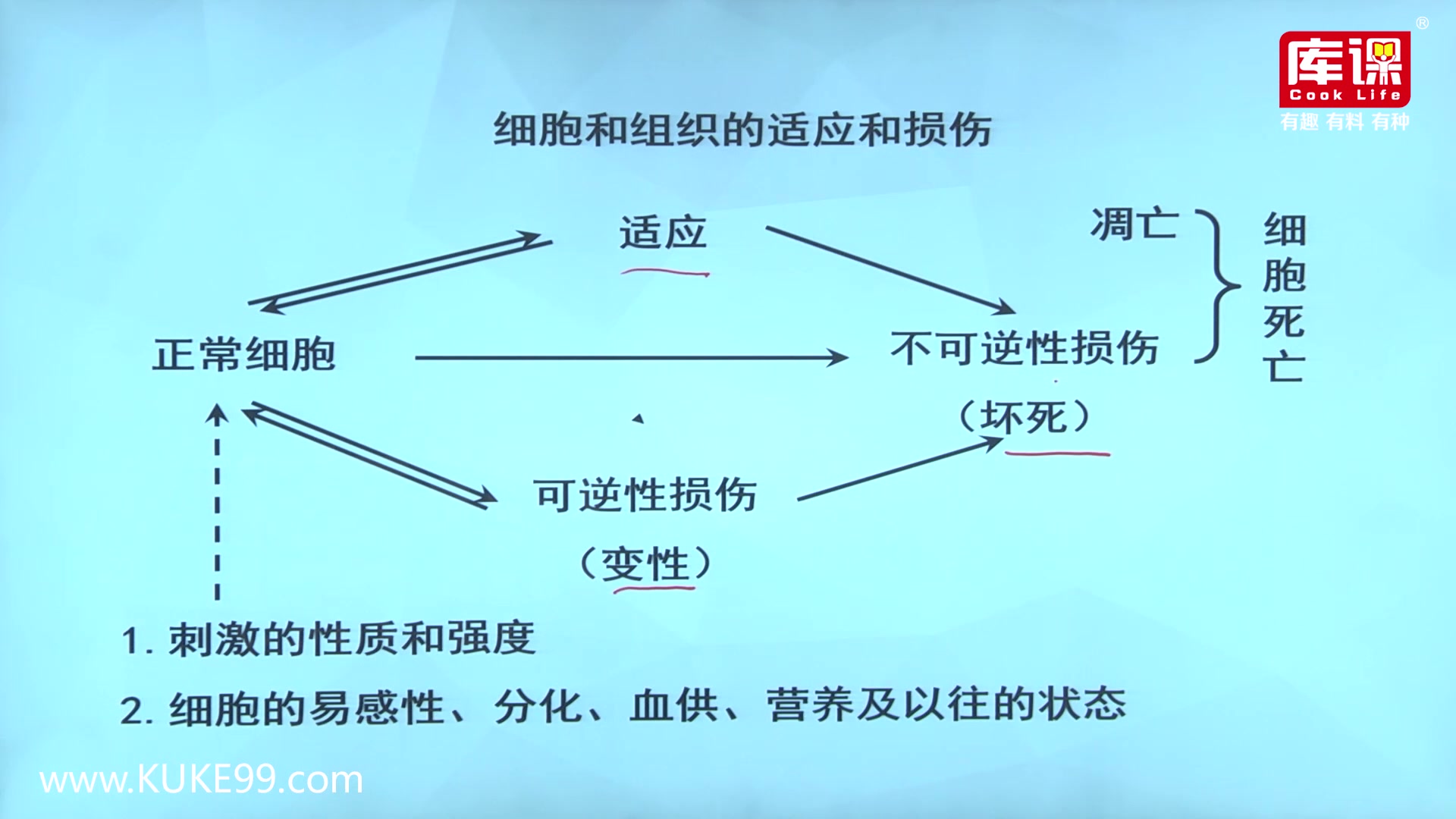 2020河南专升本病理学基础精讲课-第2章 细胞和组织的适应和损伤-1...