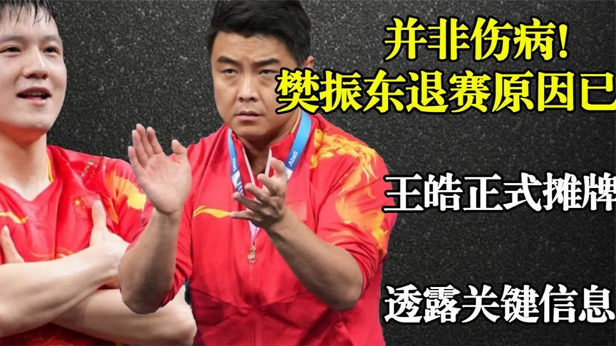 并非伤病!樊振东退赛原因已找到,王皓正式摊牌,透露关键信息