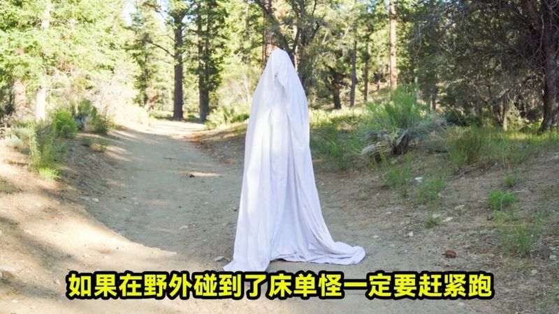 如果你在野外碰到了床单怪,千万不要招惹它