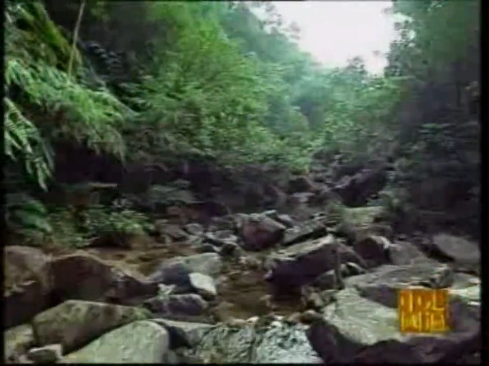 【纪录片】《走遍中国》走进阳春专辑:探秘鹅凰嶂