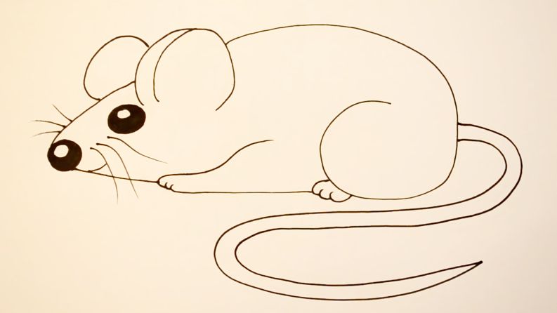 小老鼠简笔画 喜欢的快来试试!