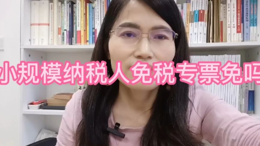 小规模纳税人免税都免了些什么?