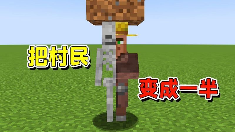 我的世界:从半个村民身上买东西,价格也会变成一半吗