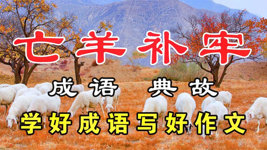 大语文成语典故 —— 亡羊补牢