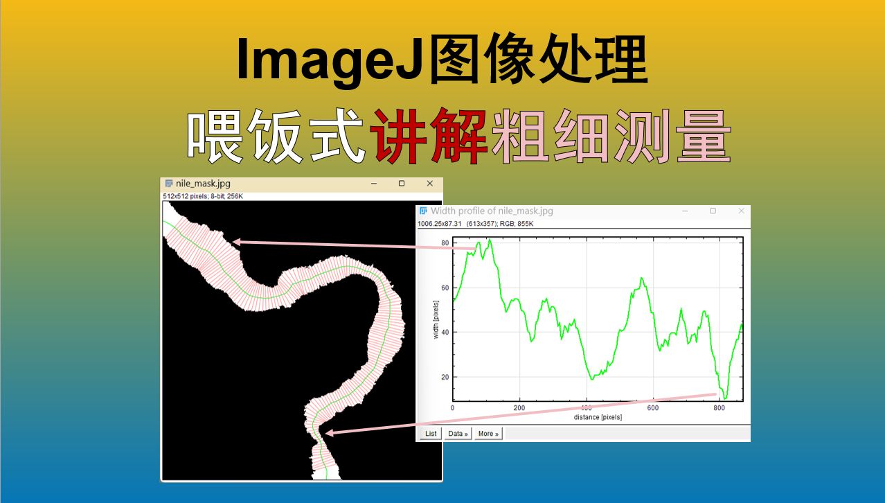 『零基础』ImageJ图像处理 - 喂饭式讲解管道粗细测量