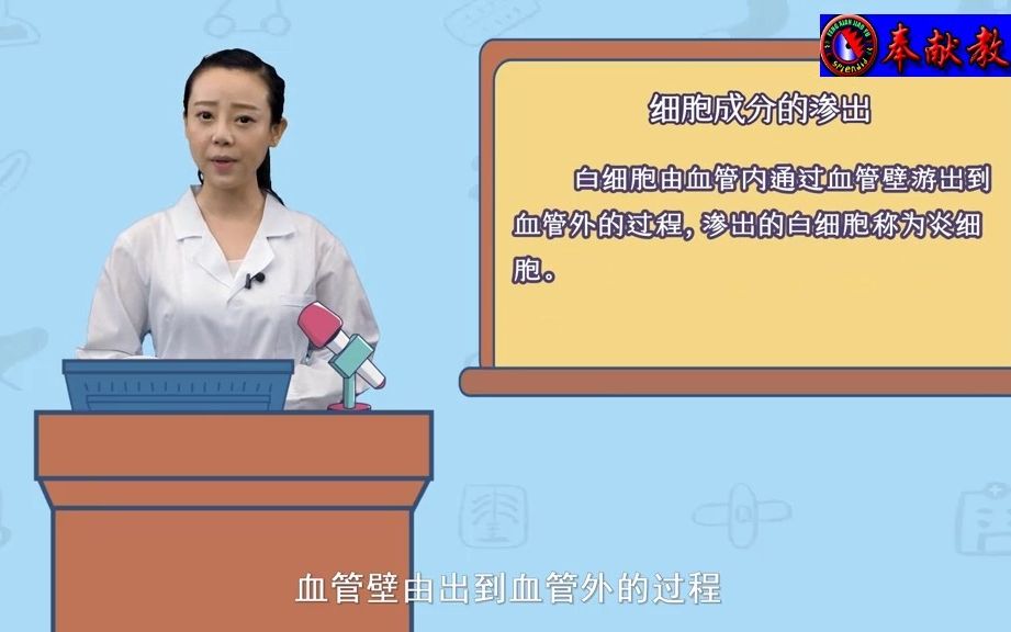 3、炎症的基本病理变化