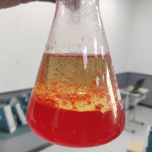 伯虎一点都不虎 