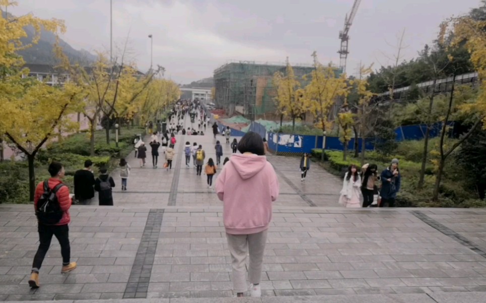 情景剧之校园暴力