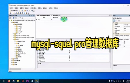 ...数据库技巧】sql server数据库使用教程!与mysql-squel pro管理数据库