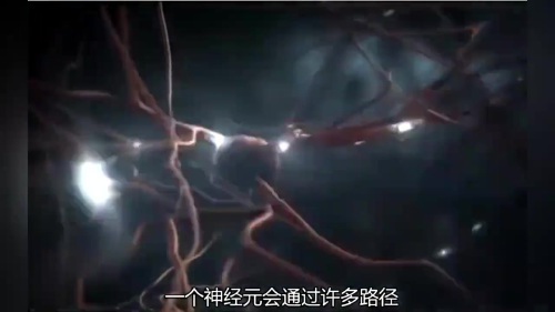 大脑中几十亿个神经细胞是怎样传递信息的?