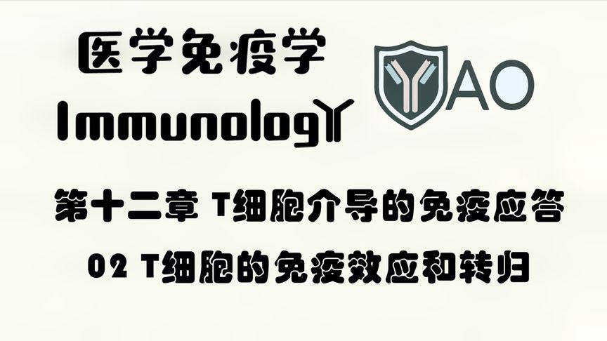 12_02 T细胞的免疫效应和转归
