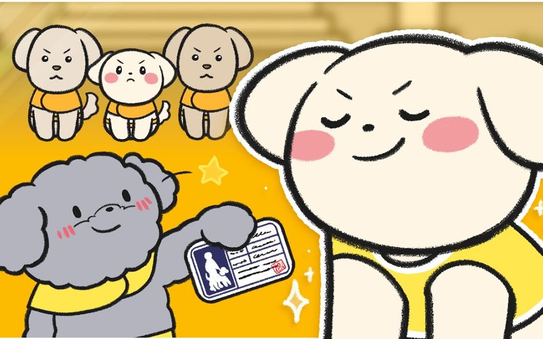 如何才能进入向导犬学校呢?|请友好对待导盲犬|宠物知识科普动画