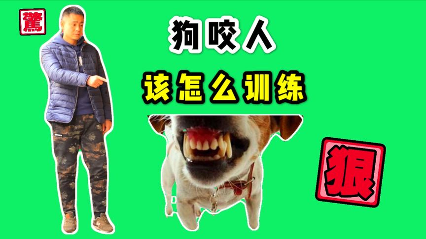 生活大百科之宠物狗咬人怎么办 专业训犬师教会你10分钟轻松搞定
