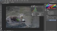 平面设计作品欣赏 ps动作怎么用 ps去水印教程