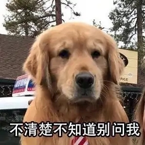爱吃便便的狗狗 