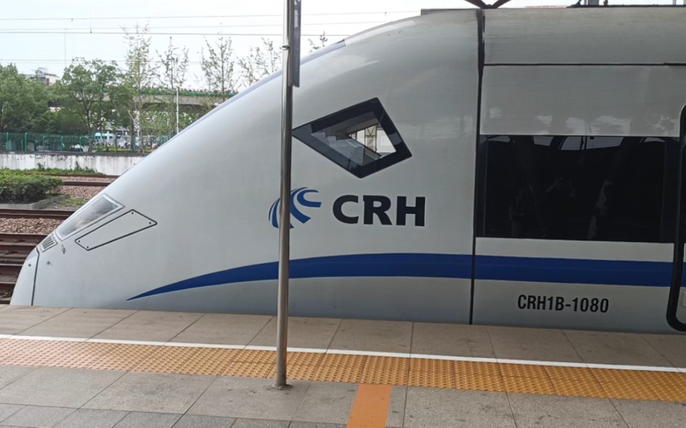 稀有!1E头型的大地铁!23年10月4日 CRH1B(1E车头)【D3056次】苏州...