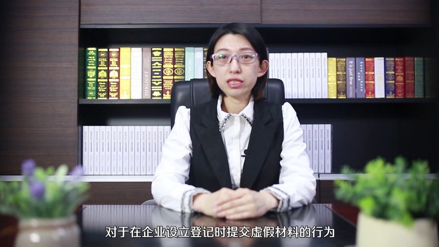 公司设立提交虚假材料什么后果?