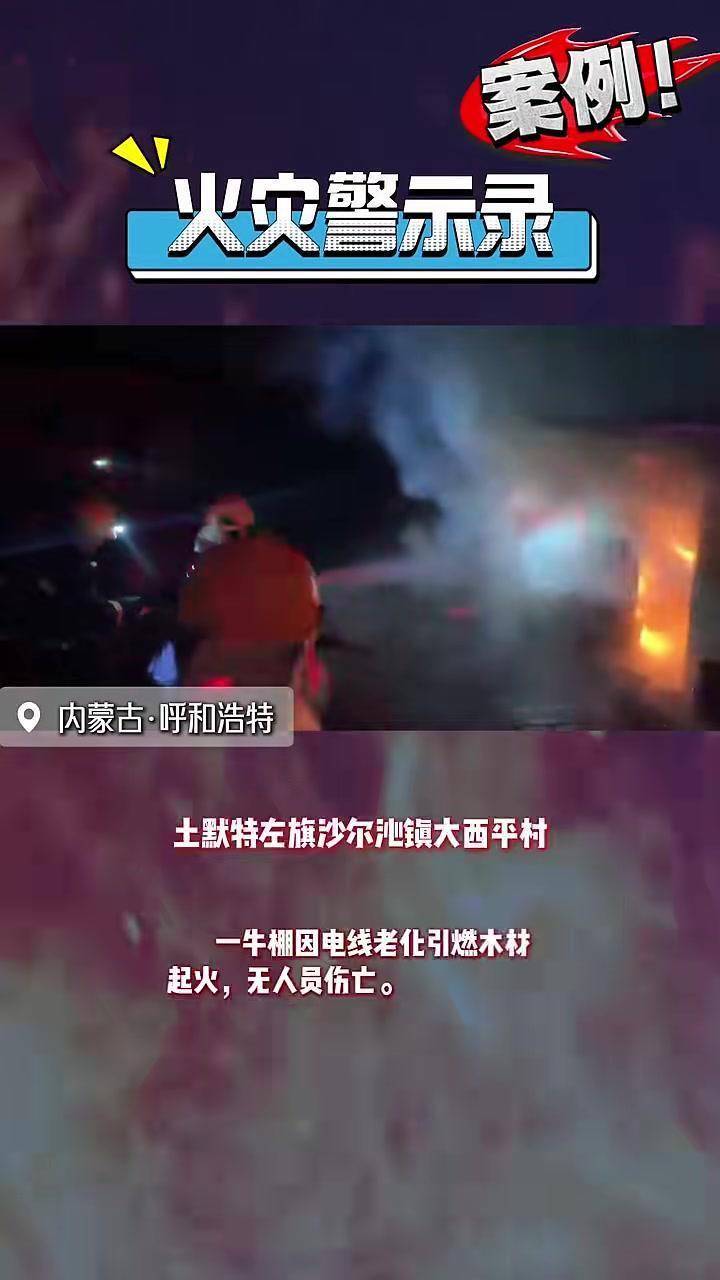 ...疏忽牛牛们无家可归!#电气线路#安全用火用电#火灾现场#消防救援