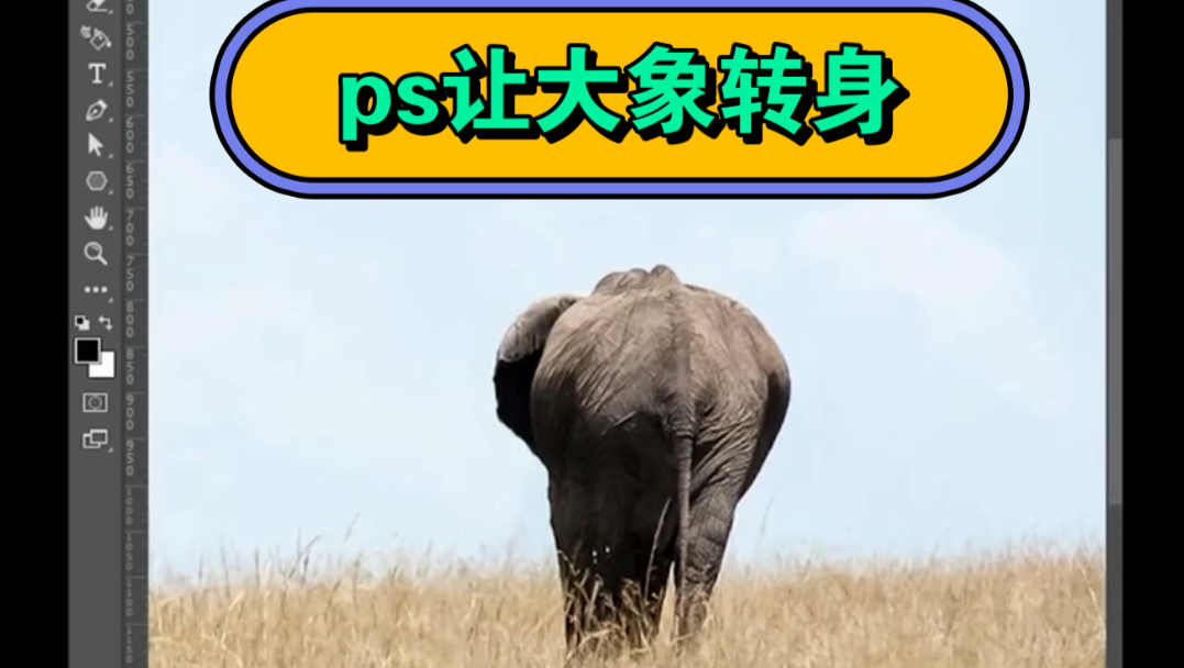 所以ps真的可以让大象转身,给模特脱掉外套吗?