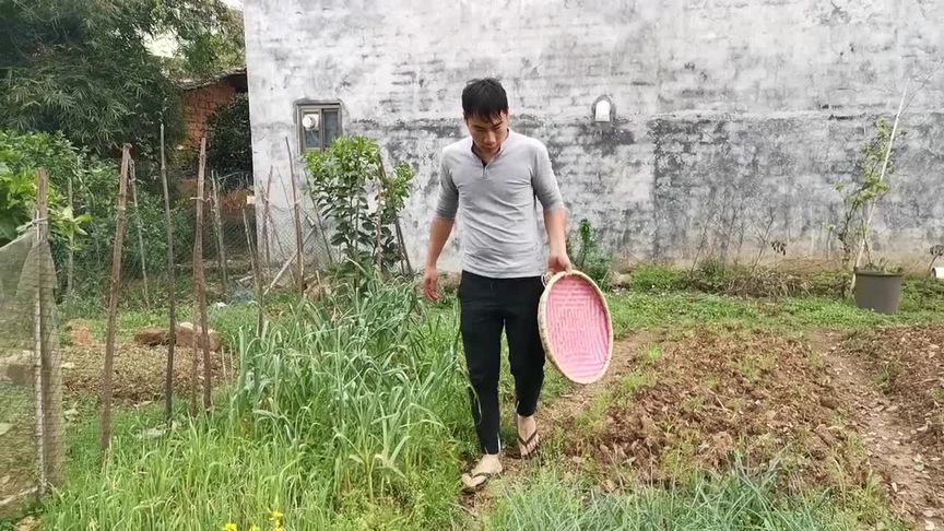 三月初三地菜煮鸡蛋 农村小伙用爱传承传统习俗 功效告诉你