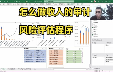 怎么用数据分析做收入的风险评估审计