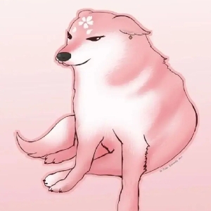 磊兹 