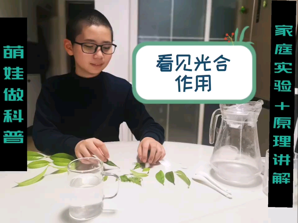 科学小实验一零三:看见光合作用 阳春三月,江南草长,了解一下光合作用...