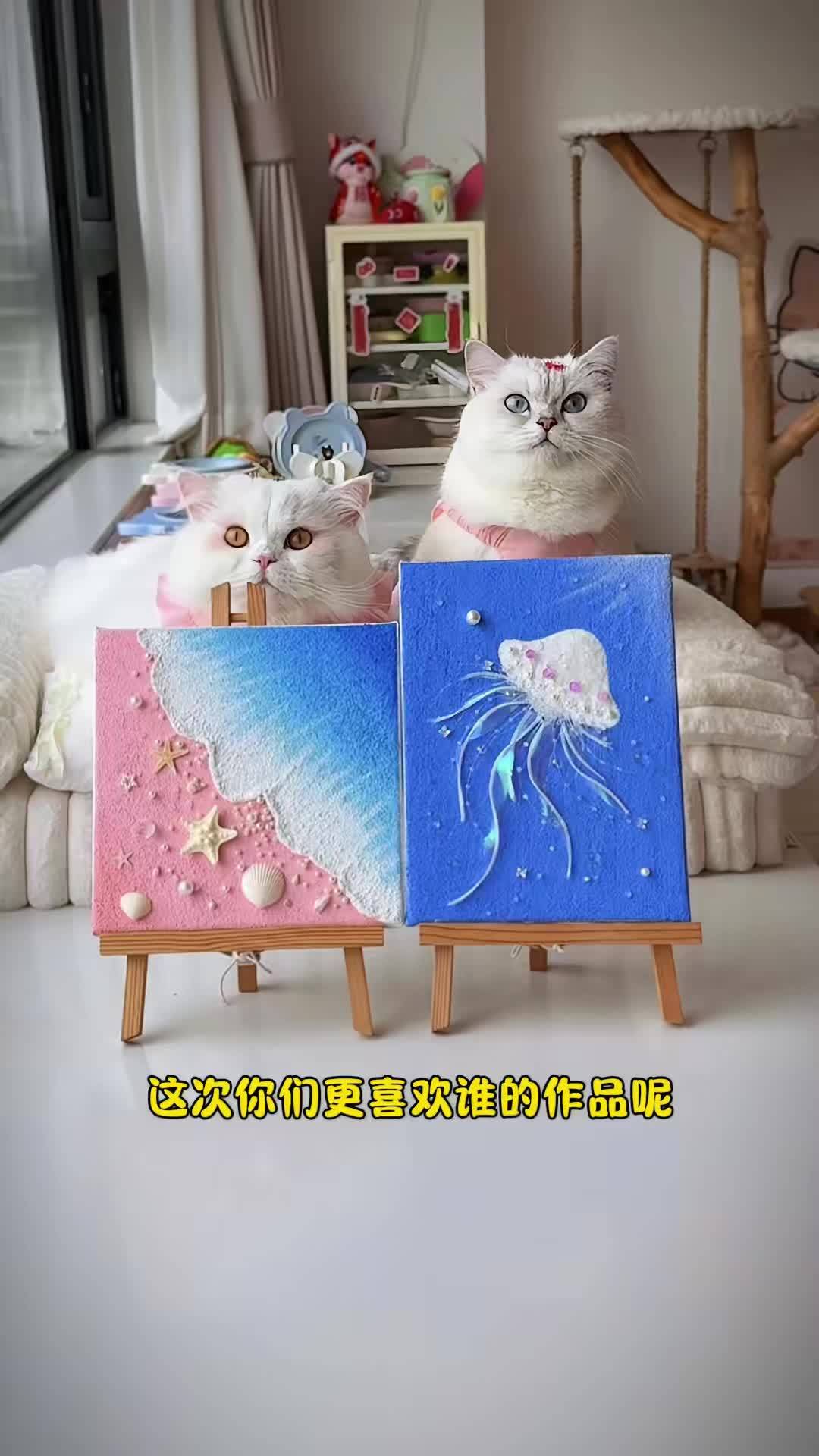 小猫咪绘画天赋大比拼 这次你们更喜欢谁的作品呢?