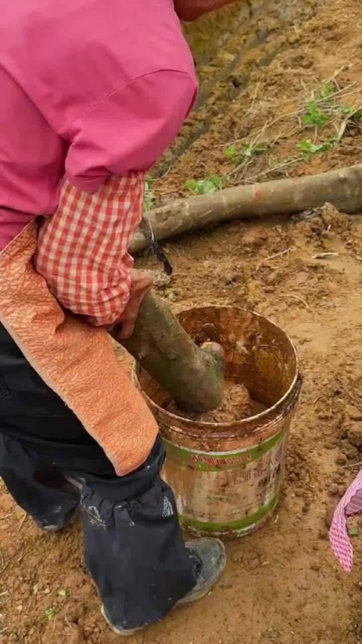 育苗控根器围栏树板塑料植树花盆